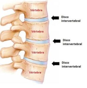Articulações - Anatomia e funções do sistema articular | Resumo