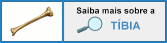 OSSOS DA PERNA | Anatomia do Fêmur, Tíbia, Fíbula e Rótula