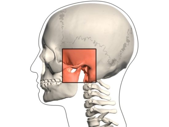 Articulação temporomandibular - O que é e qual a função | ATM